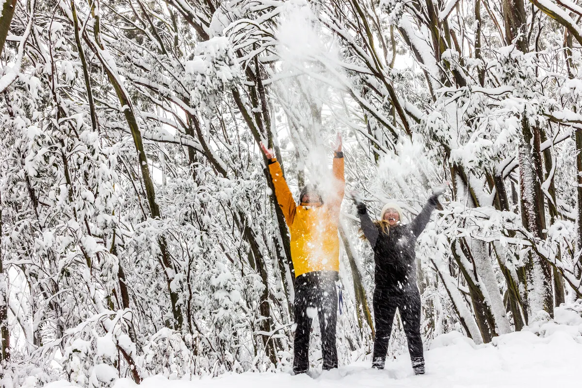 Family Fun in the Snow: Melbourne’s Best Winter Escapes – Matil Travel